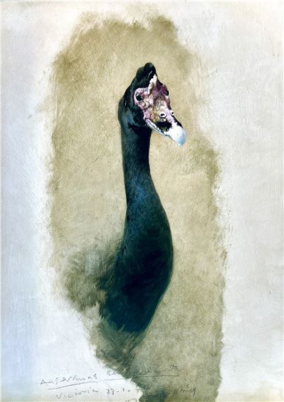 Raymond Harris Ching | Musk Duck | MutualArt
