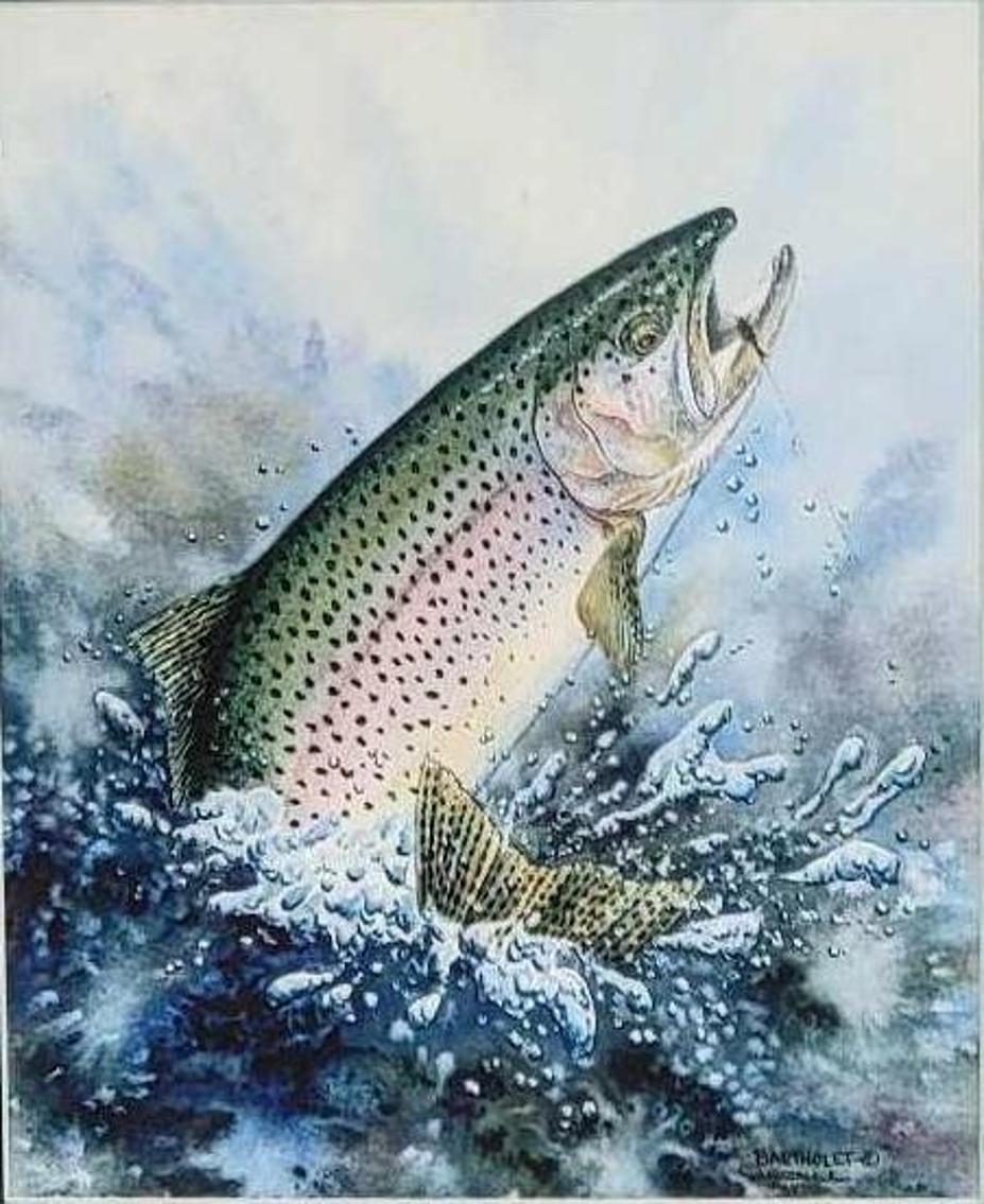Dave Bartholet | Rainbow Trout | MutualArt