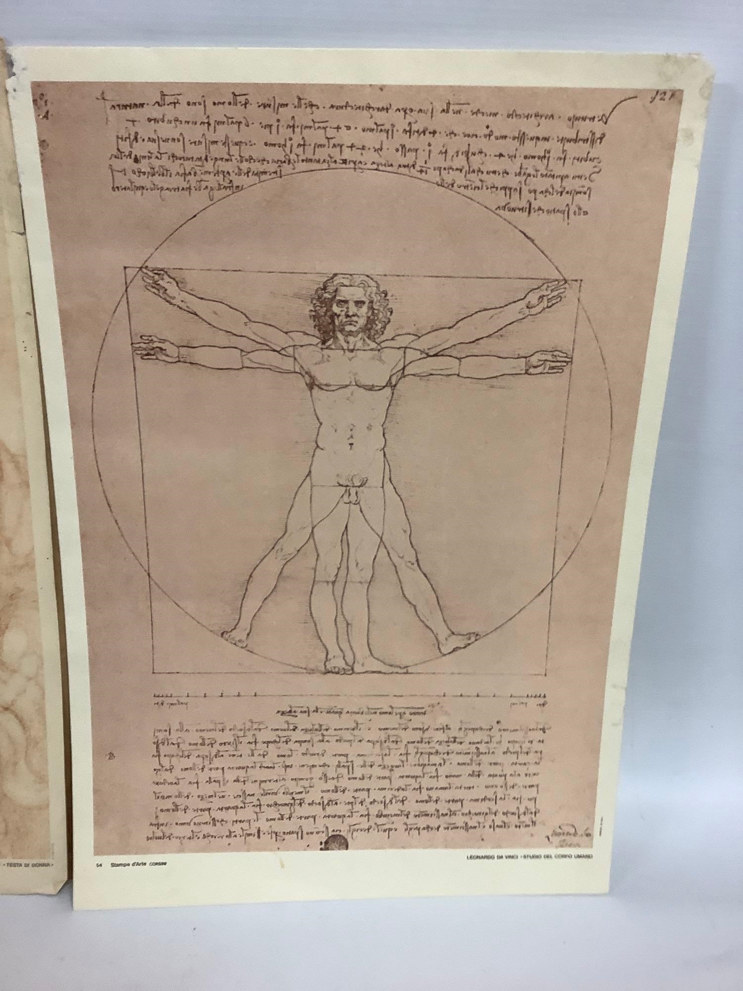 Leonardo da Vinci | Untitled | MutualArt