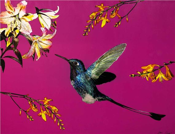 JOSE HARO | Hummingbird (2023) | MutualArt