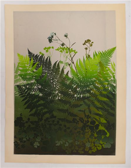 Elton Bennett | Green Ferns | MutualArt