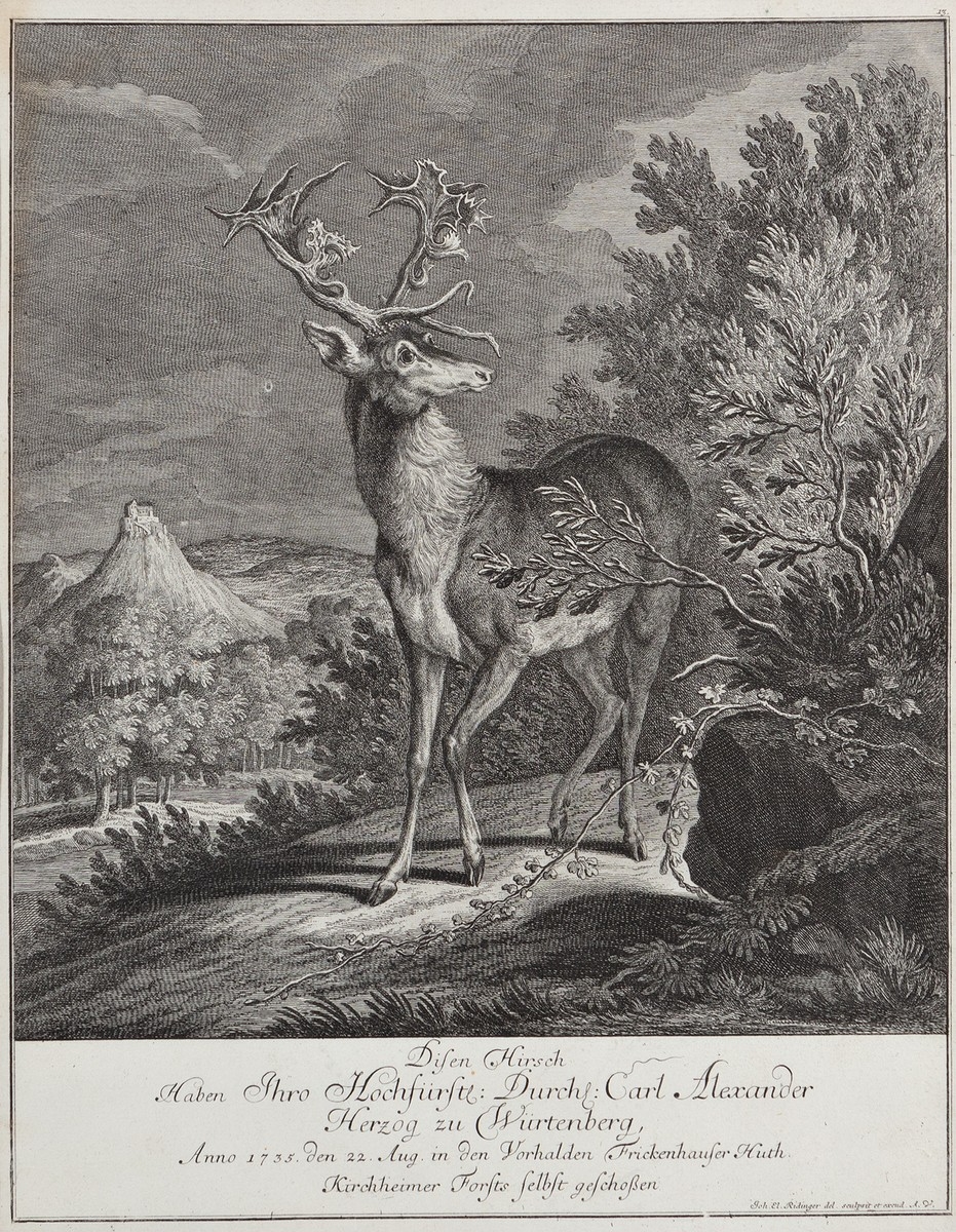 Johann Elias Ridinger | Disen Hirsch (1735) | MutualArt