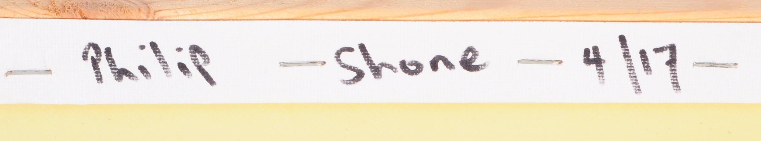 Philip Shone | the Camargue region in France | MutualArt