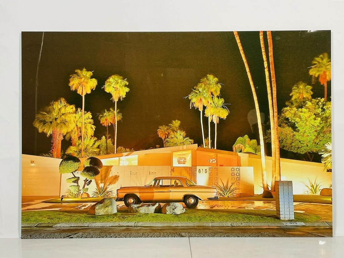 Fred Moser | Palm Springs Midnight | MutualArt