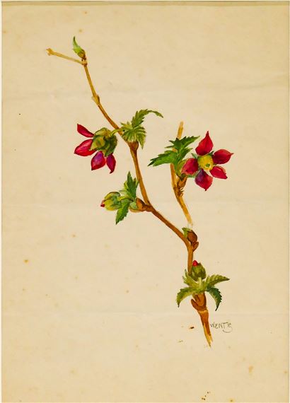 Henry Wentz | Red Wildflowers | MutualArt