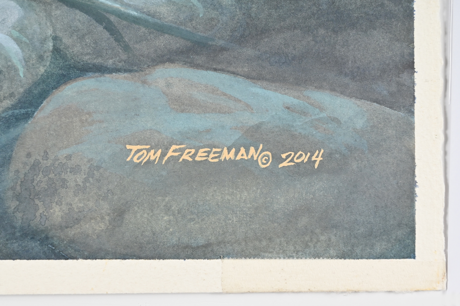 Tom Freeman | Brook Trout | MutualArt
