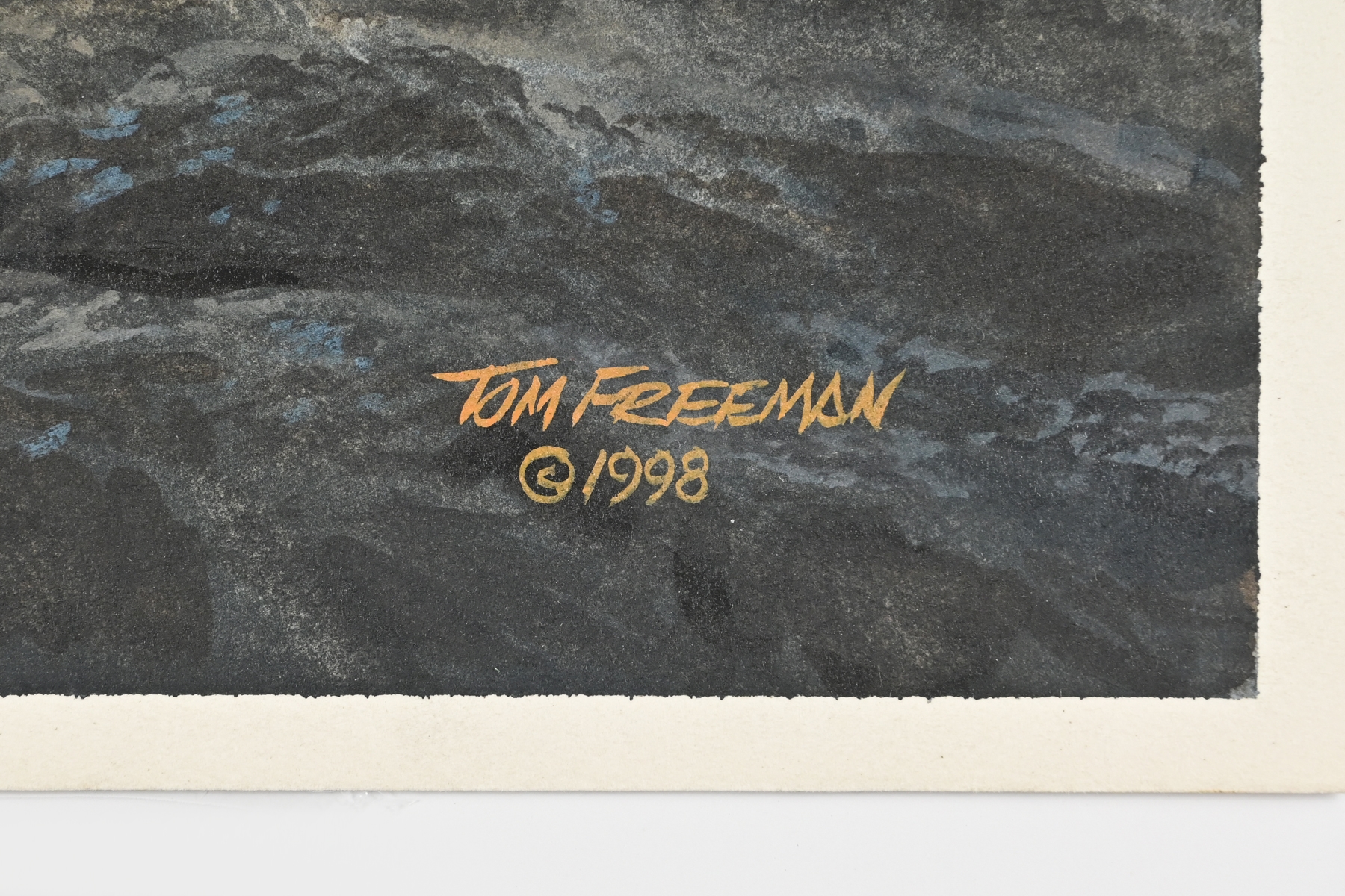 Tom Freeman | US Army Blackhawk Night Mission | MutualArt