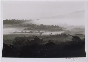 David Hamilton | 242 Artworks at Auction | MutualArt