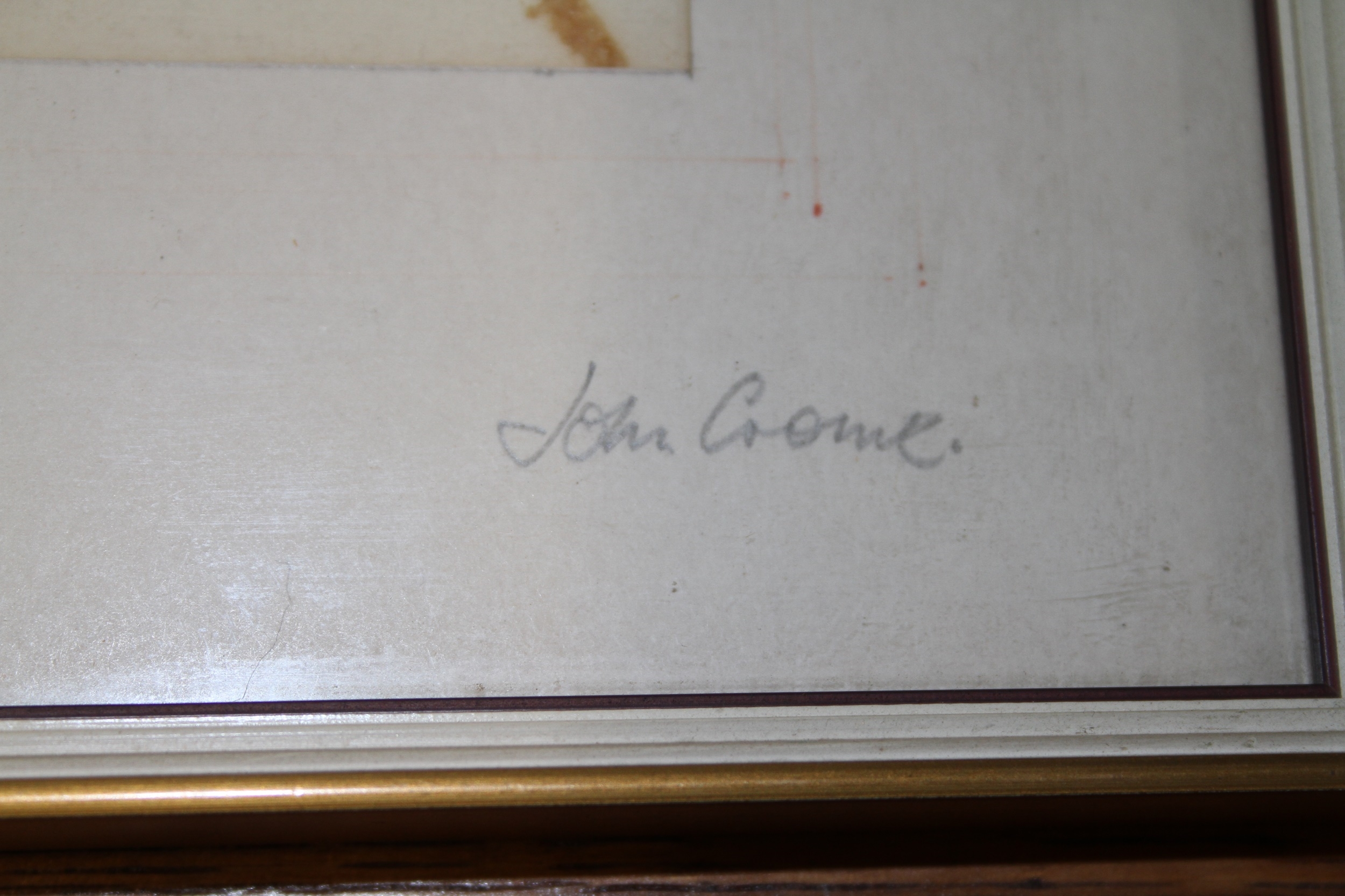 John Crome | sleeping lion cub | MutualArt