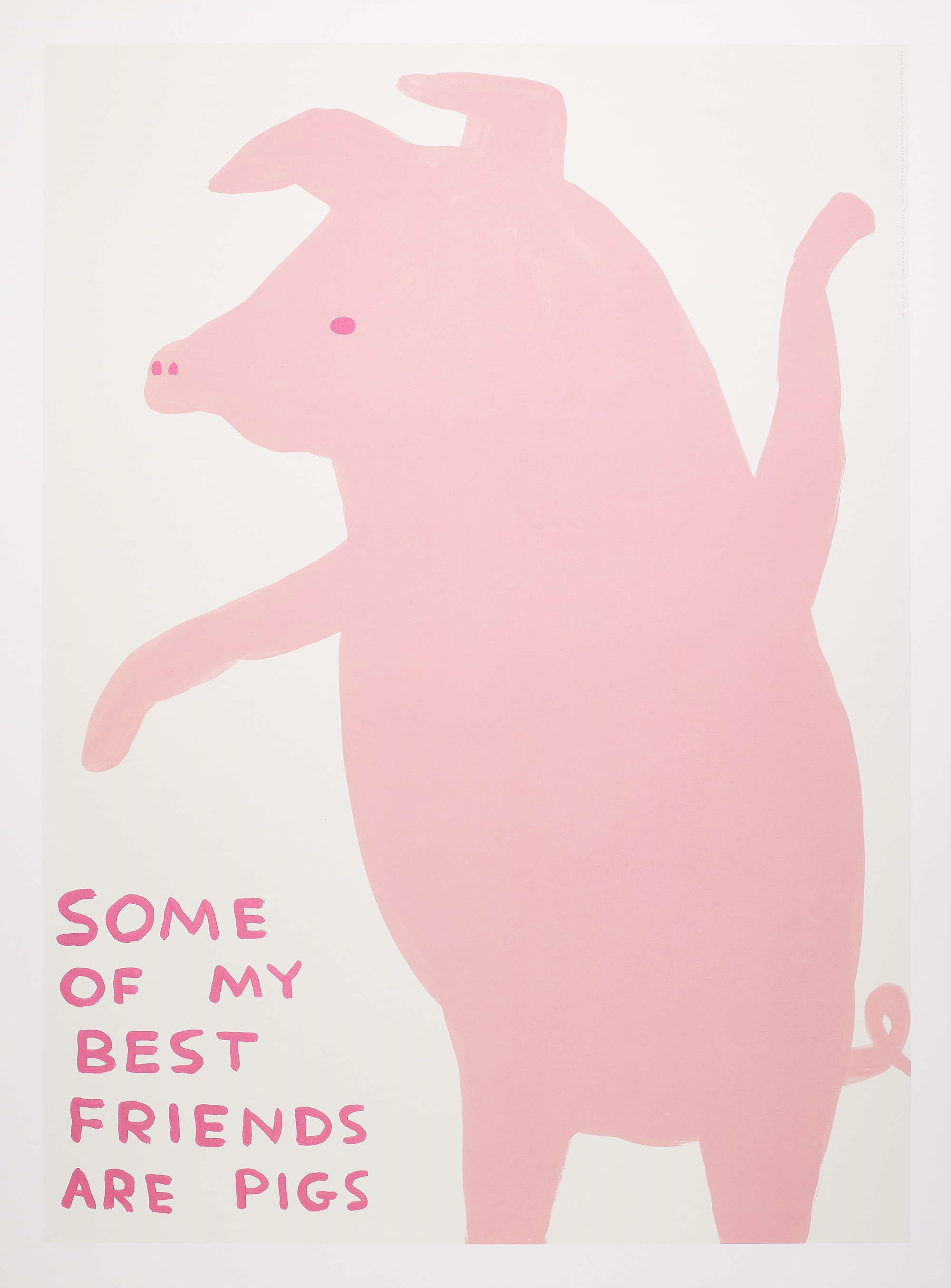David Shrigley | Animal Series (2020) | MutualArt