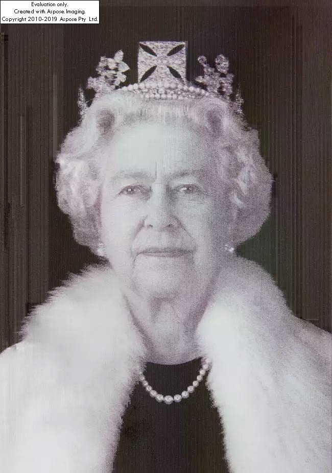 Chris Levine | Her Majesty Queen Elizabeth II (2004) | MutualArt