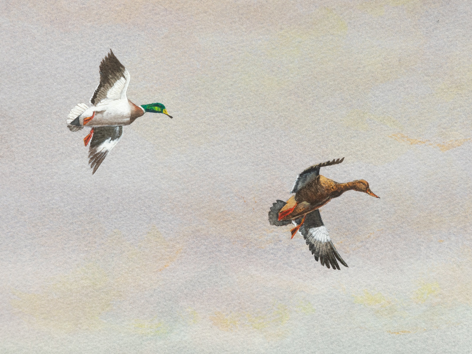 Bruce Dines | Delta Country Ducks | MutualArt