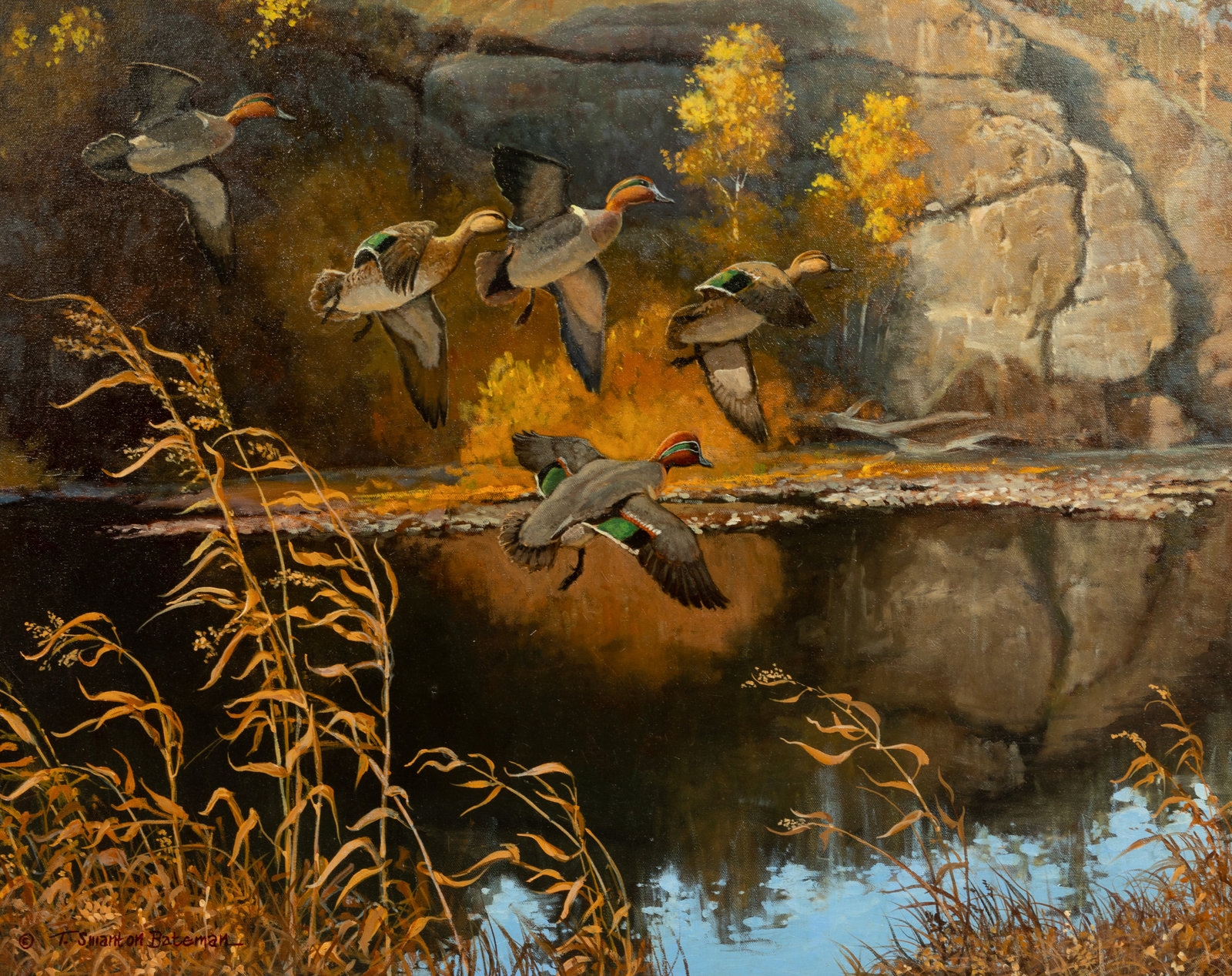 Terry Swanton Bateman | Greenwings | MutualArt