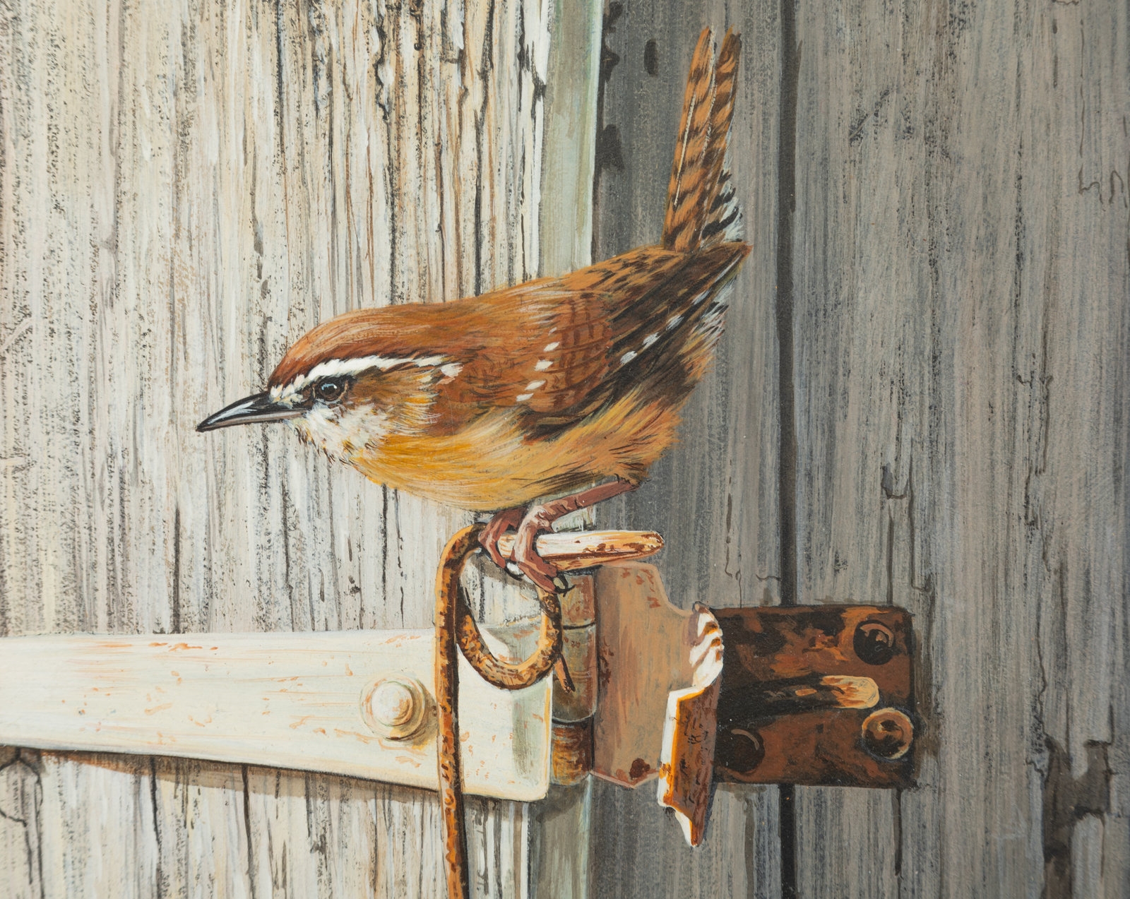 Jan Martin McGuire | Garden Shed Wren (2004) | MutualArt