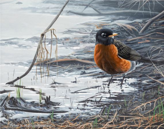 Peter Mathios | 1 Artworks at Auction | MutualArt