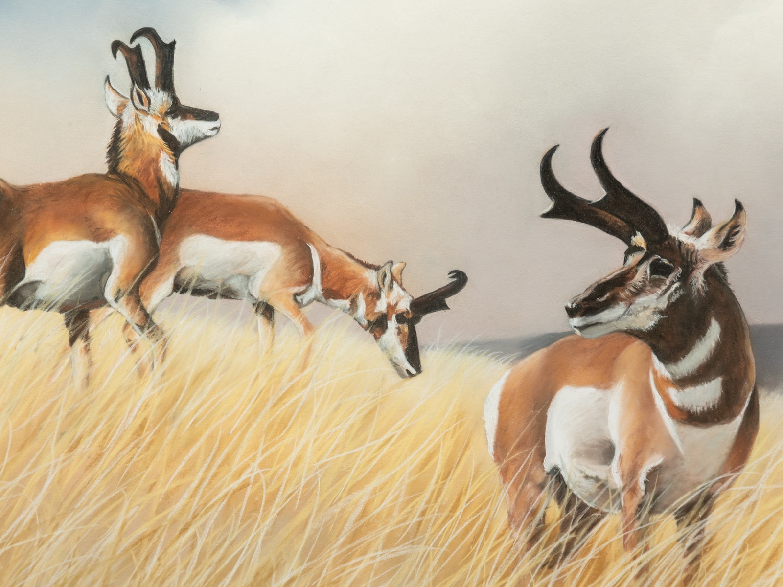 Fran Odum | Something in the Wind (1997) | MutualArt