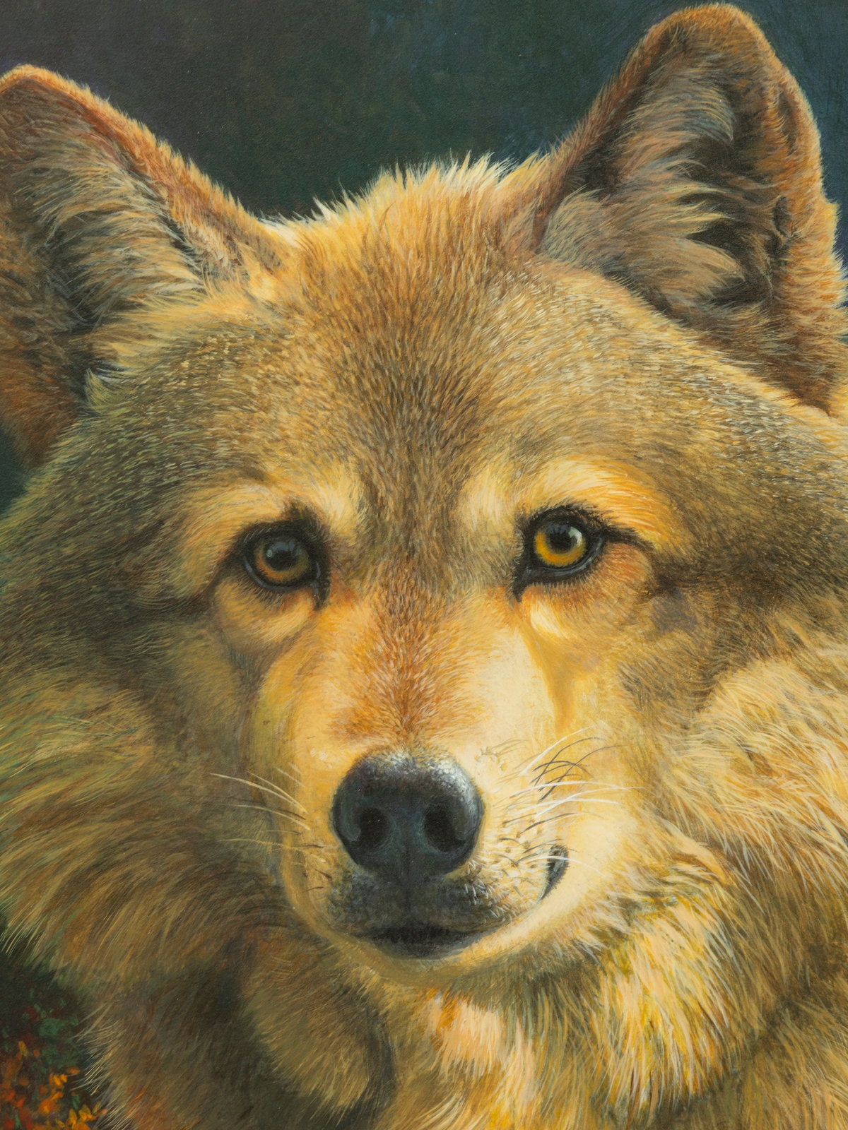 John Pitcher | Eastern Timberwolf Portrait (2001) | MutualArt