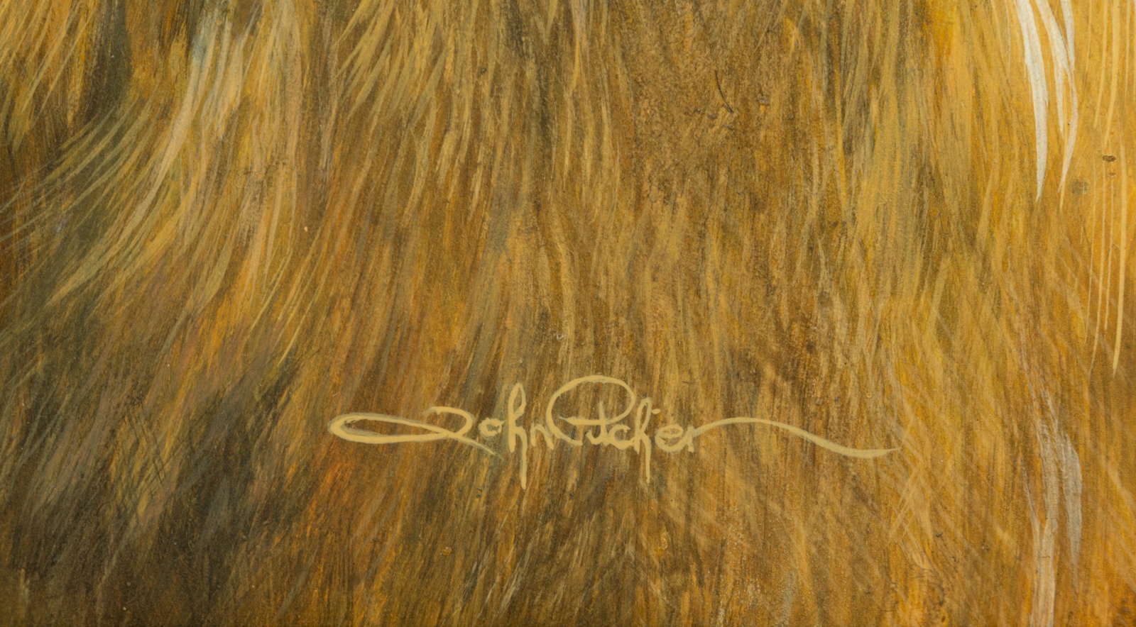 John Pitcher | Eastern Timberwolf Portrait (2001) | MutualArt