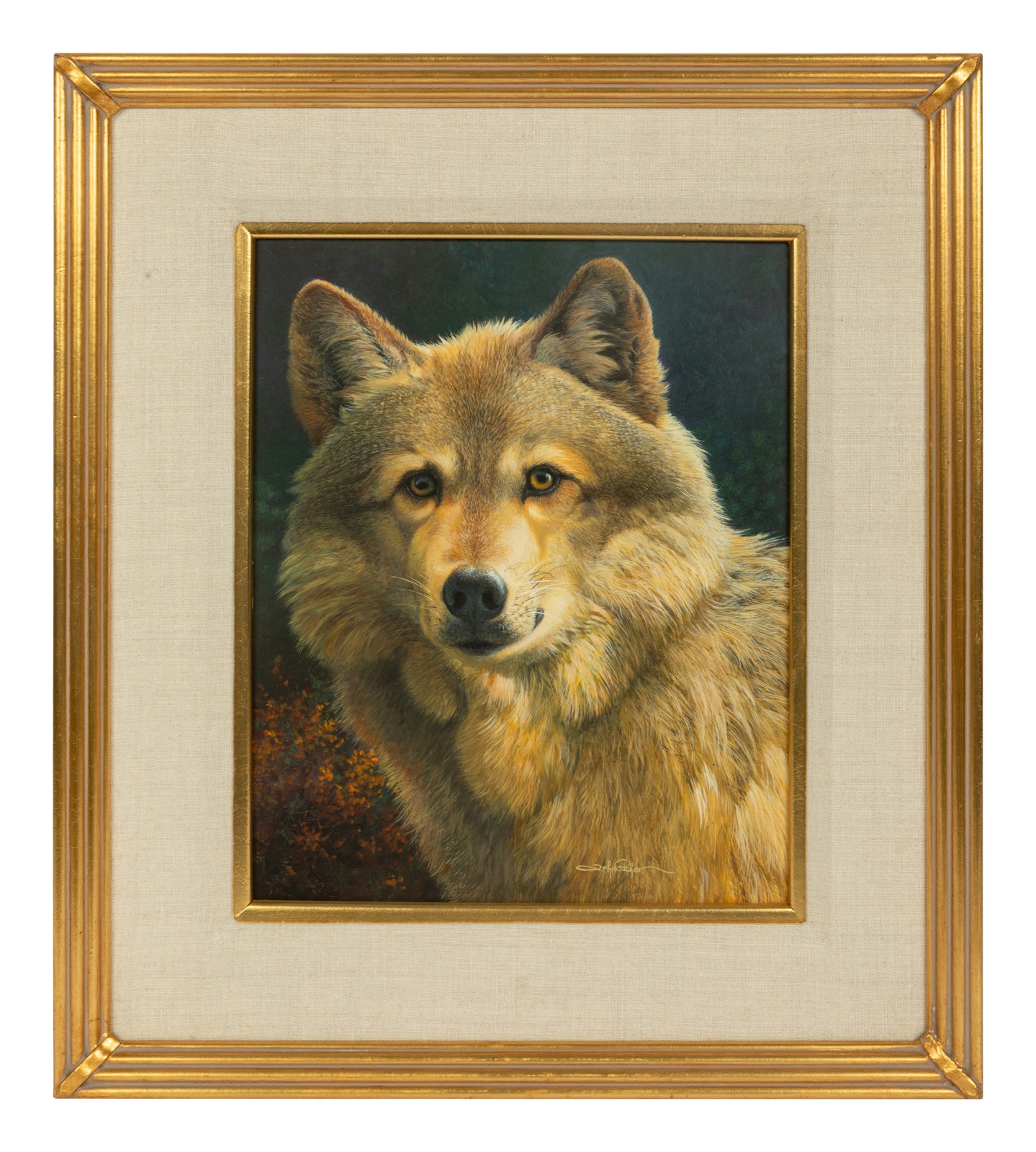 John Pitcher | Eastern Timberwolf Portrait (2001) | MutualArt