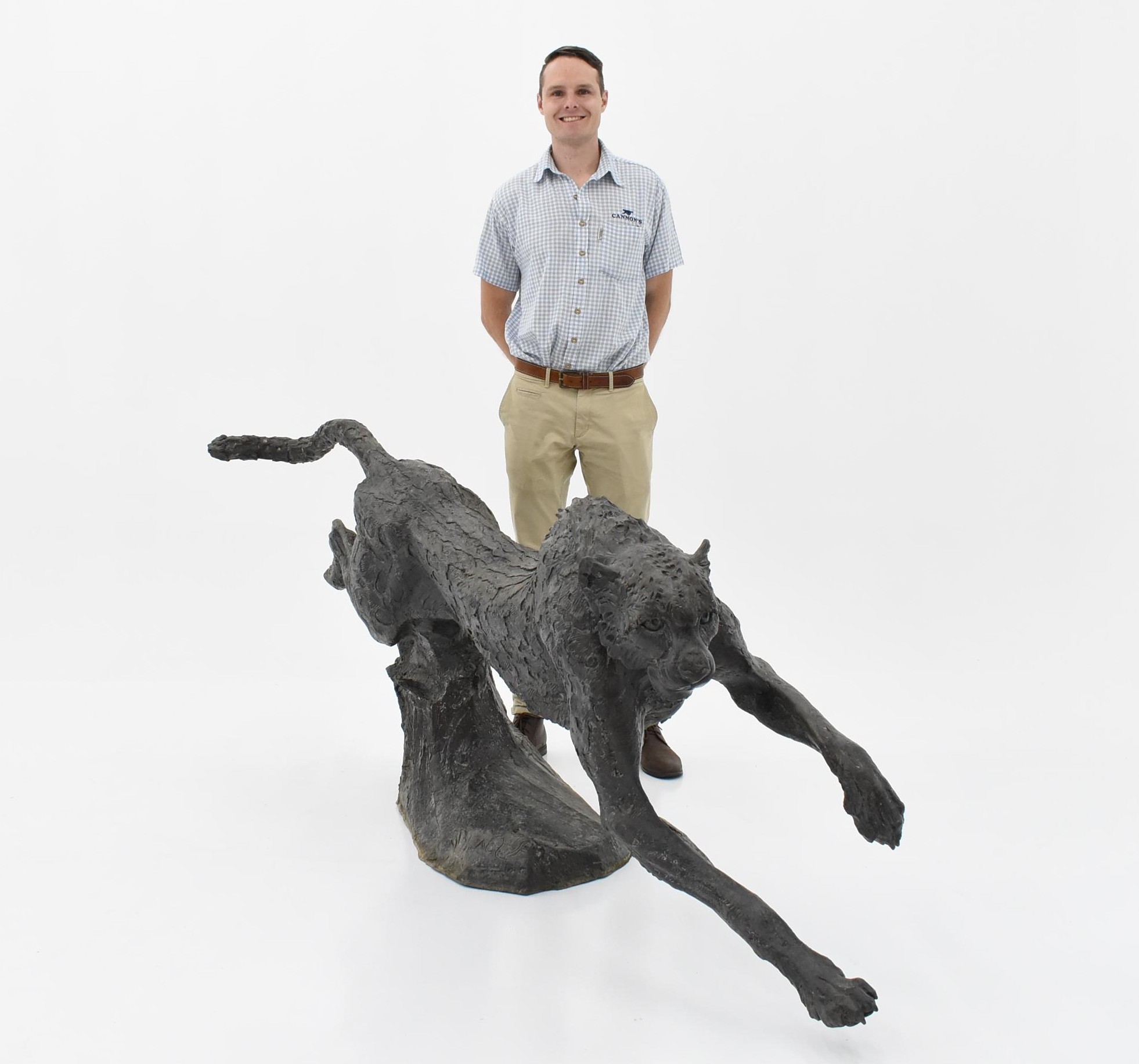 Arend Eloff | King Cheetah | MutualArt