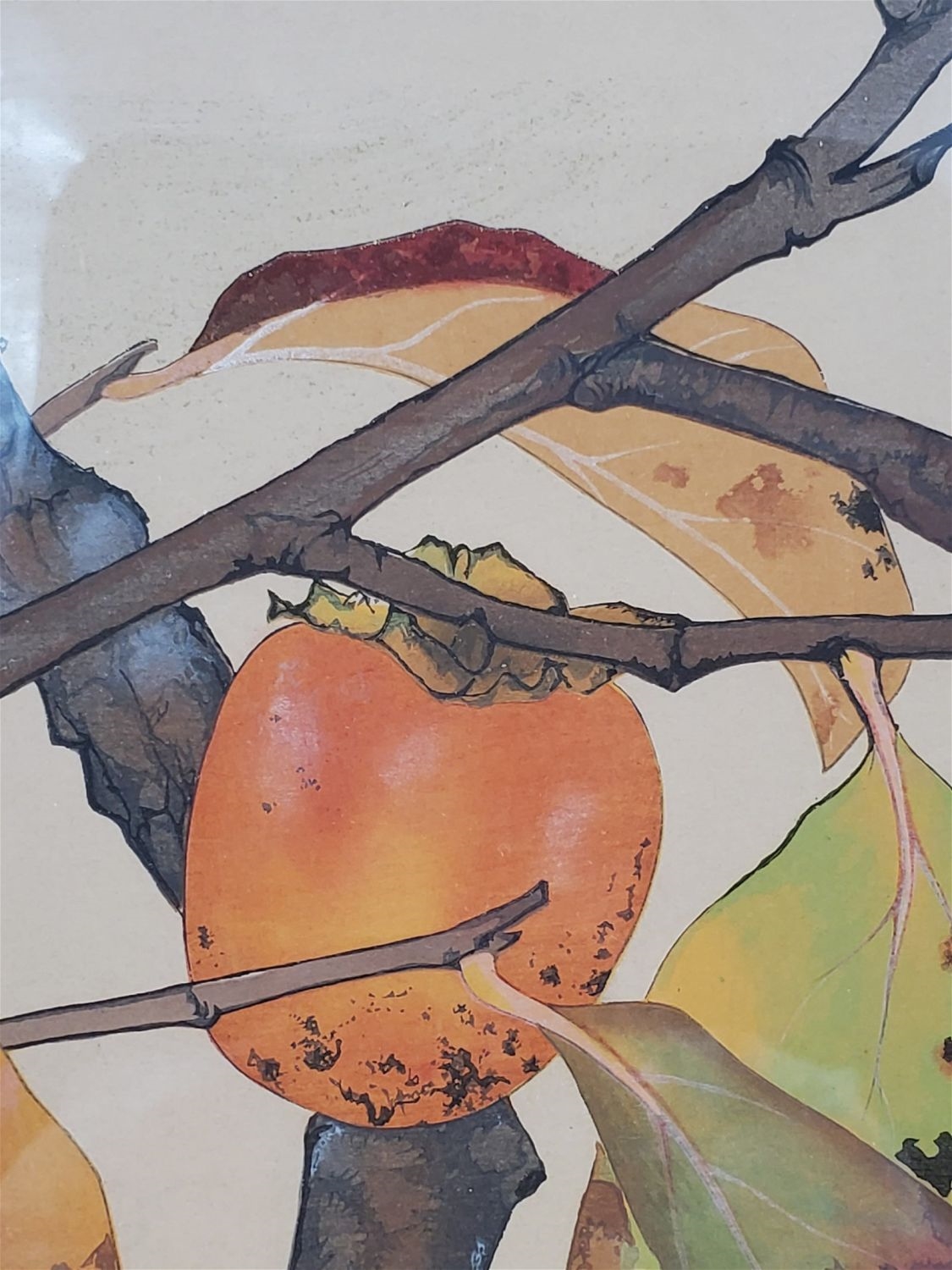Rakusan Tsuchiya | Persimmon and Shrike | MutualArt