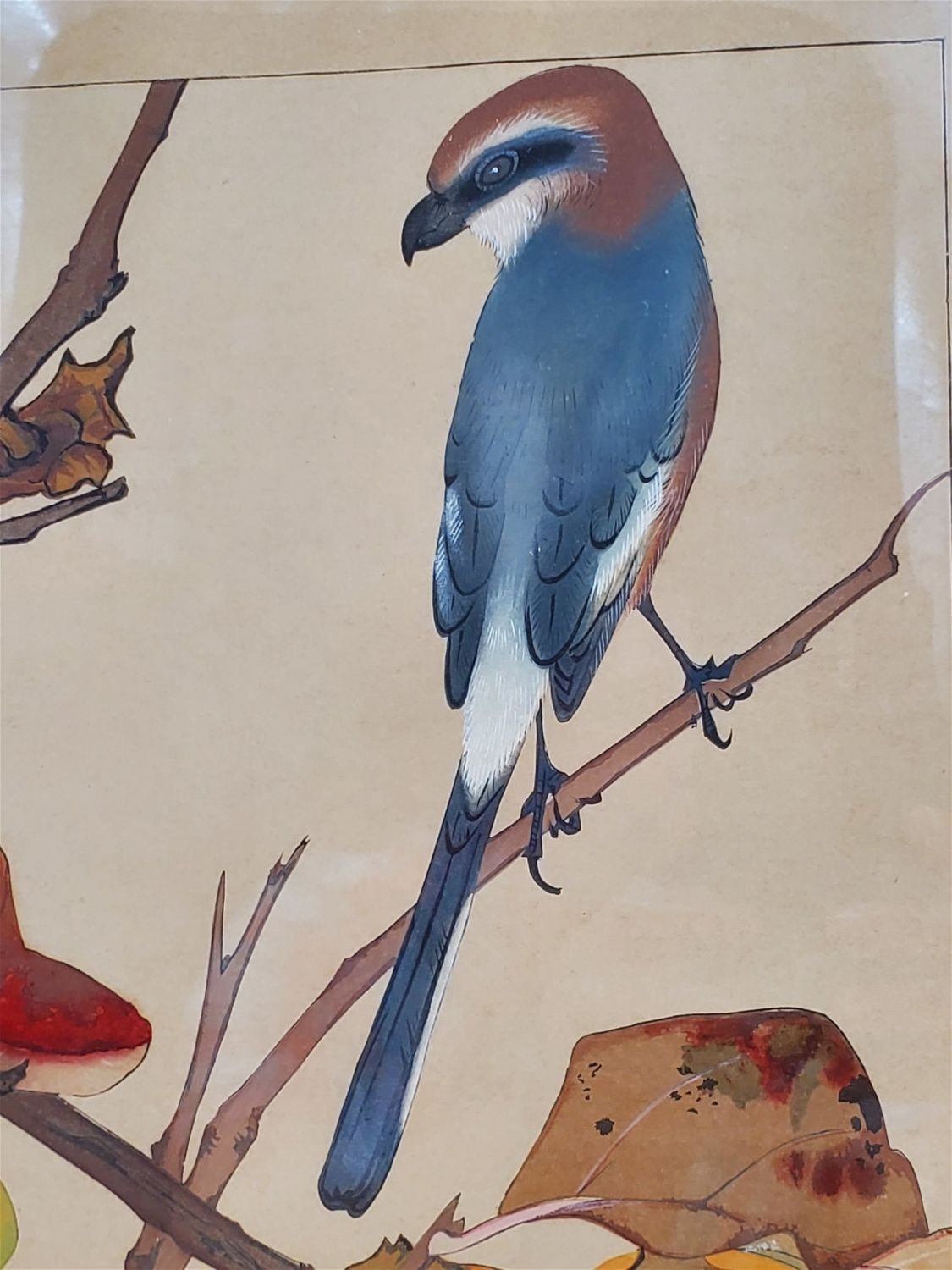 Rakusan Tsuchiya | Persimmon and Shrike | MutualArt