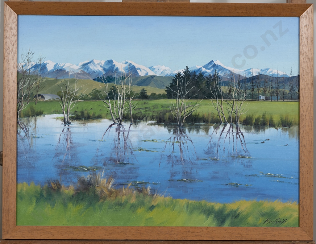 Peter Flett Scaife | Tararua Reflection | MutualArt