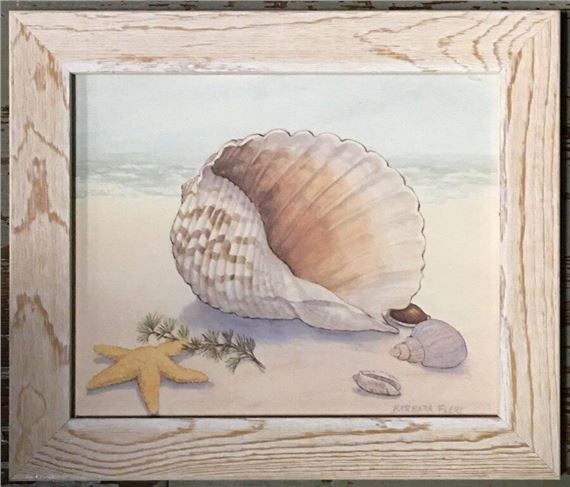 Barbara Fleri | Seashell Print | MutualArt