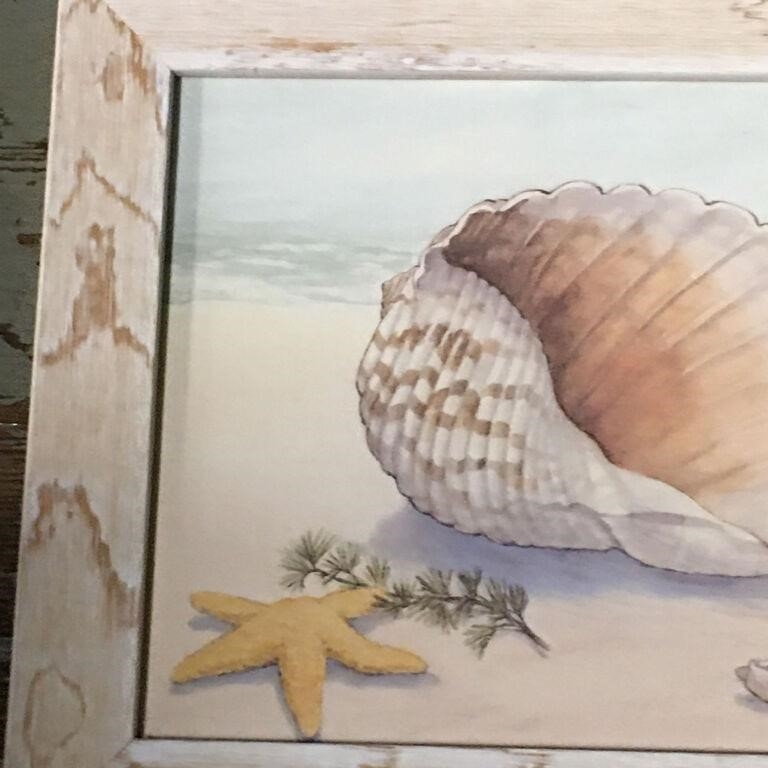Barbara Fleri | Seashell Print | MutualArt
