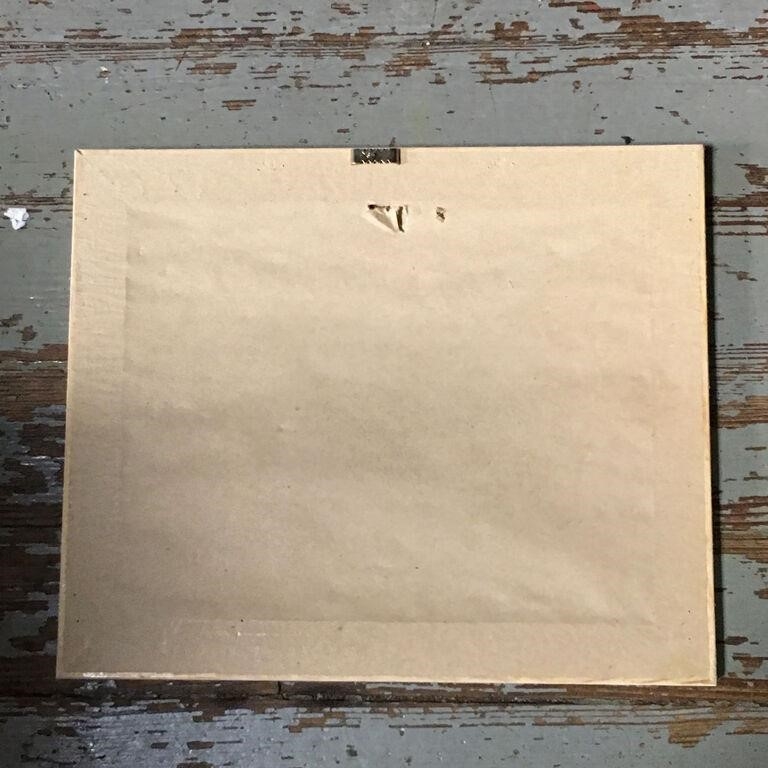 Barbara Fleri | Seashell Print | MutualArt