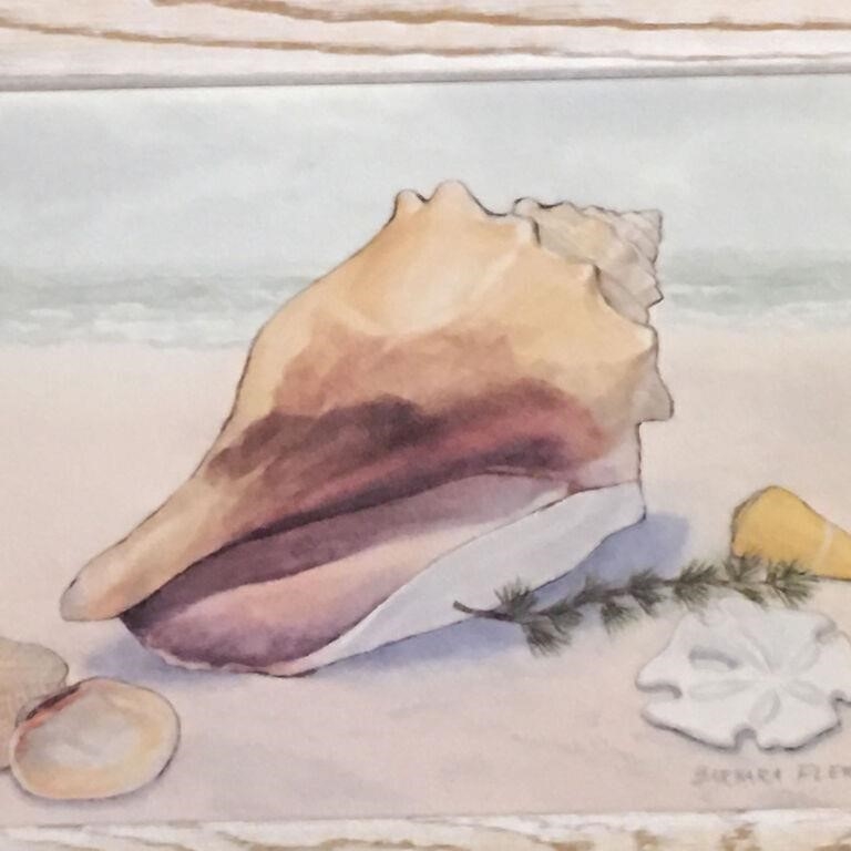 Barbara Fleri | Print Of Seashells | MutualArt