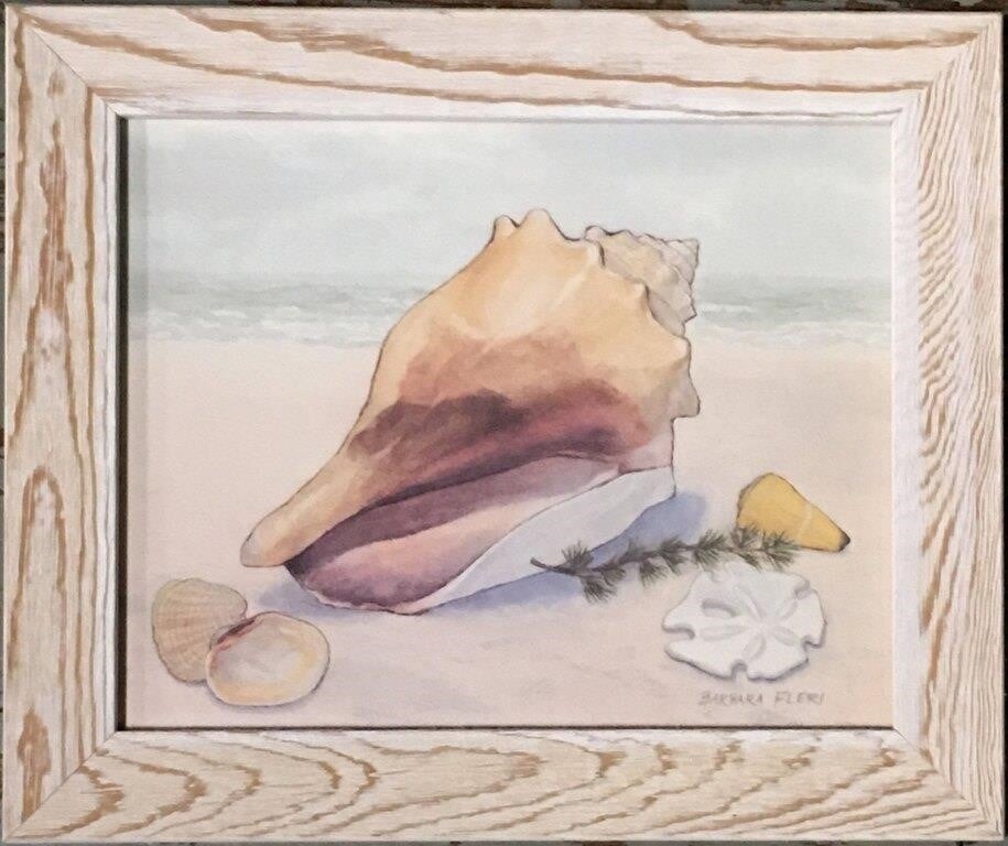 Barbara Fleri | Print Of Seashells | MutualArt