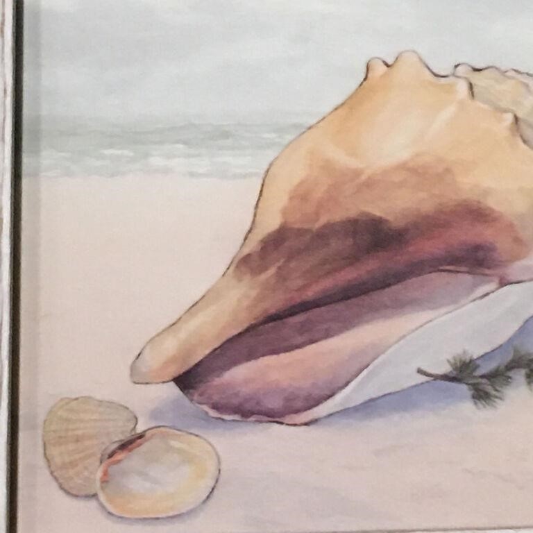 Barbara Fleri | Print Of Seashells | MutualArt