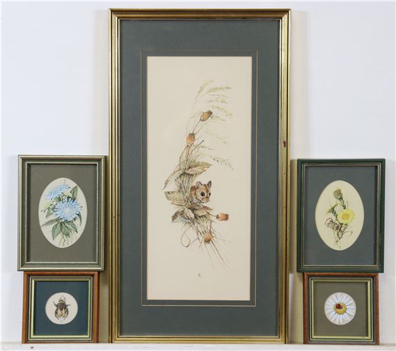 Harry Spencer | Woodmouse and Campion Seeds; studies of insects ...