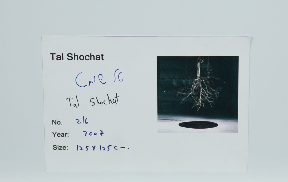 Tal Shochat | Flying Ceiling (2007) | MutualArt