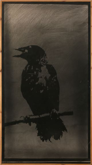 Judith Guetta | 1 Artworks | MutualArt