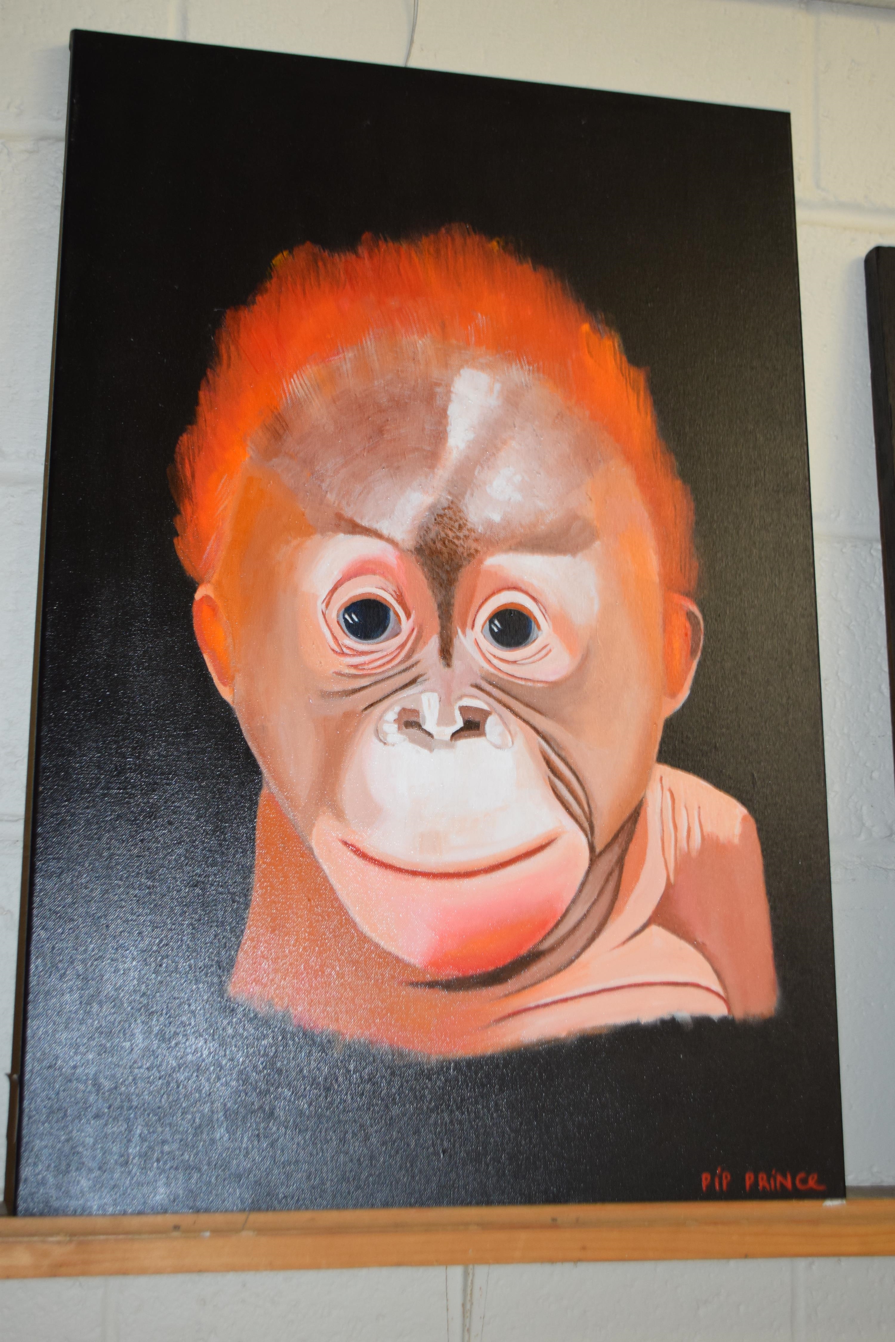 Pip Prince | portrait of a baby Orangutan | MutualArt