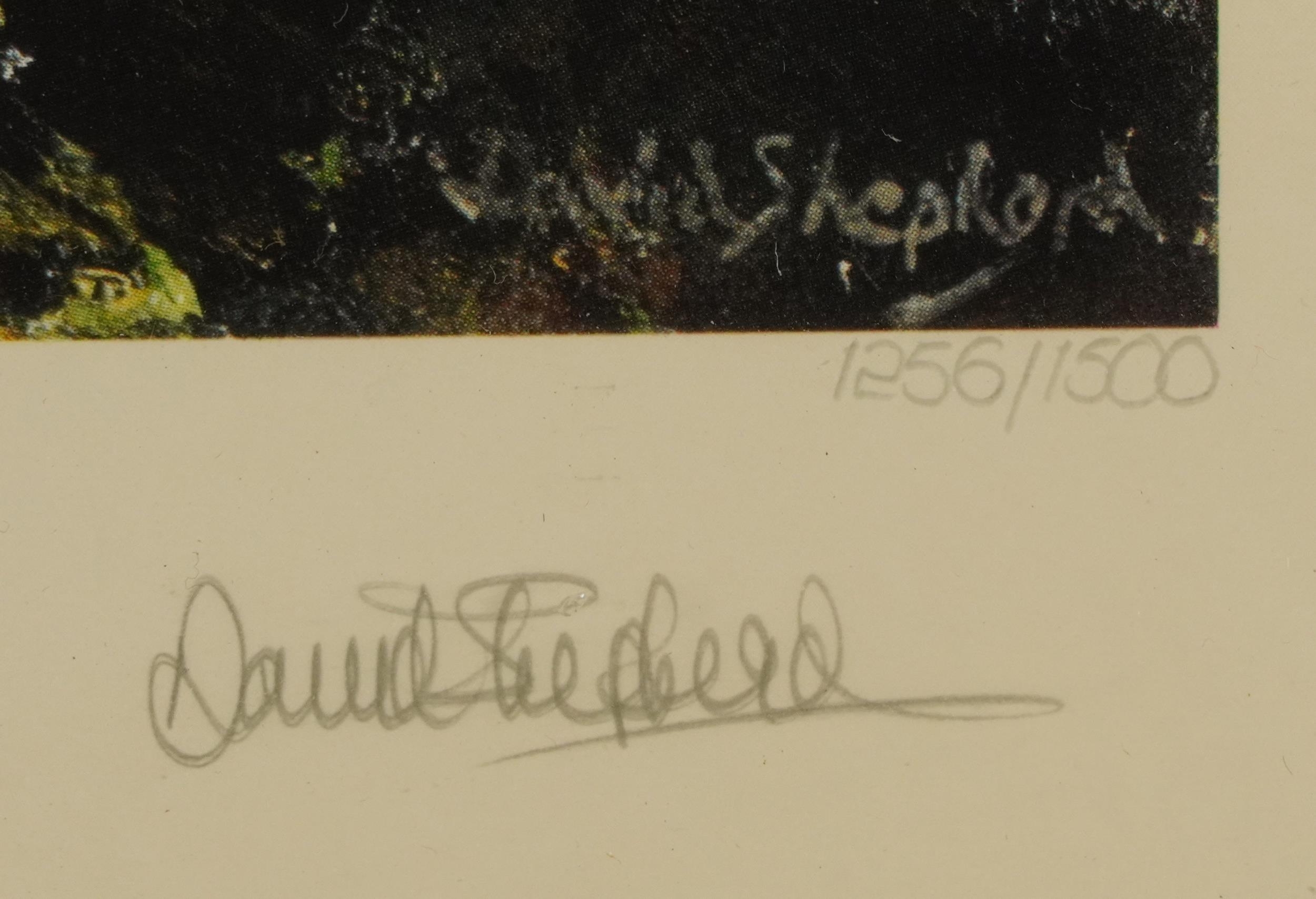 David Shepherd | Dormouse; Baby Hedgehog | MutualArt