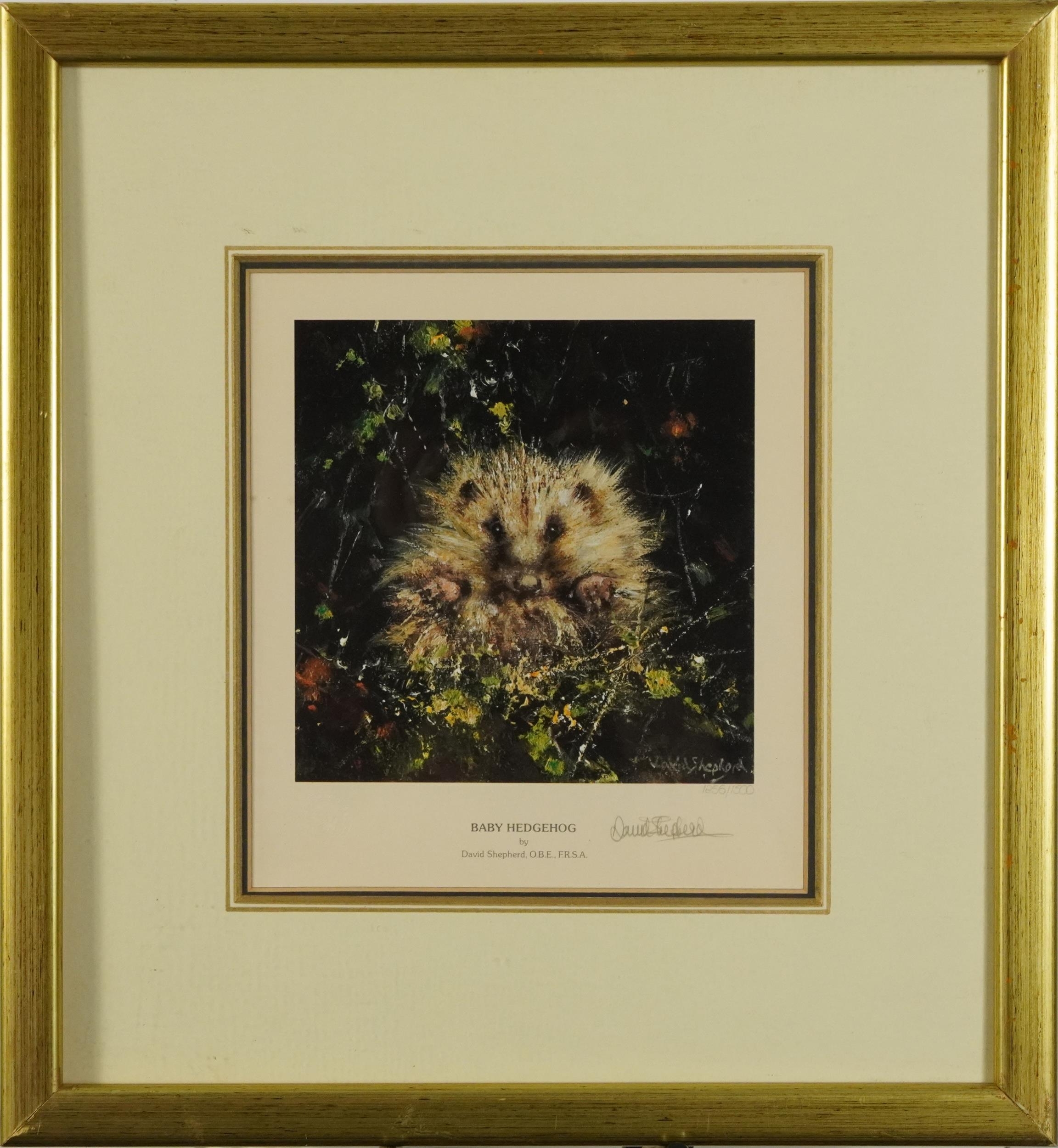 David Shepherd | Dormouse; Baby Hedgehog | MutualArt
