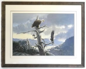 Lissa Calvert | Eagles | MutualArt