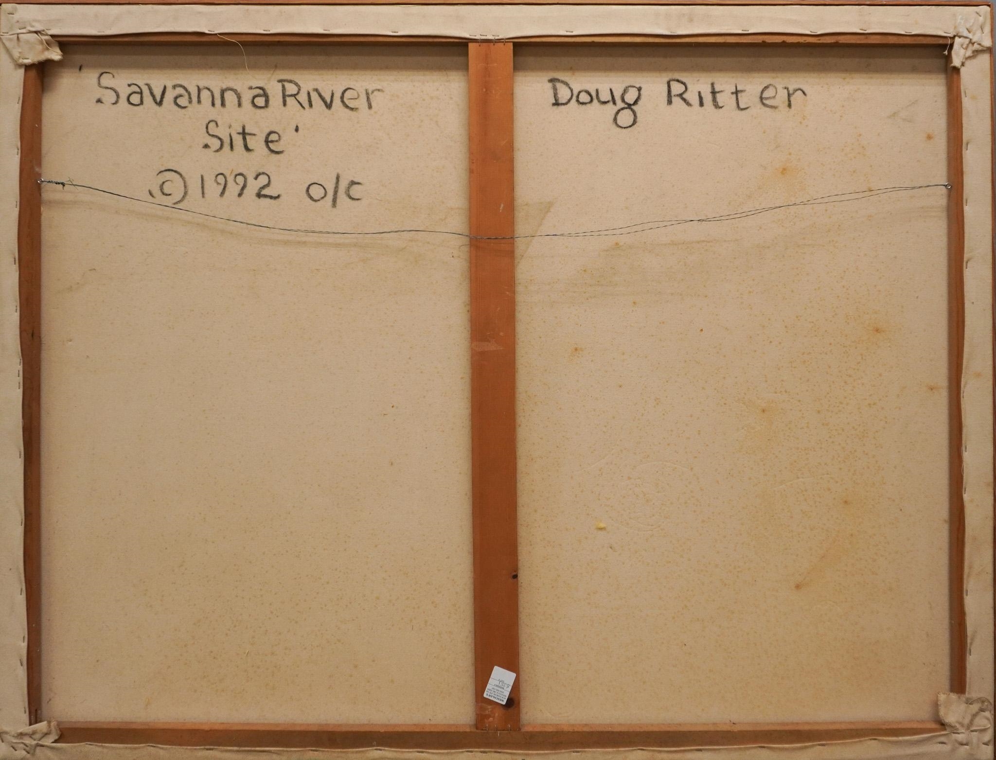 Douglas Ritter | Savannah River Site (1992) | MutualArt