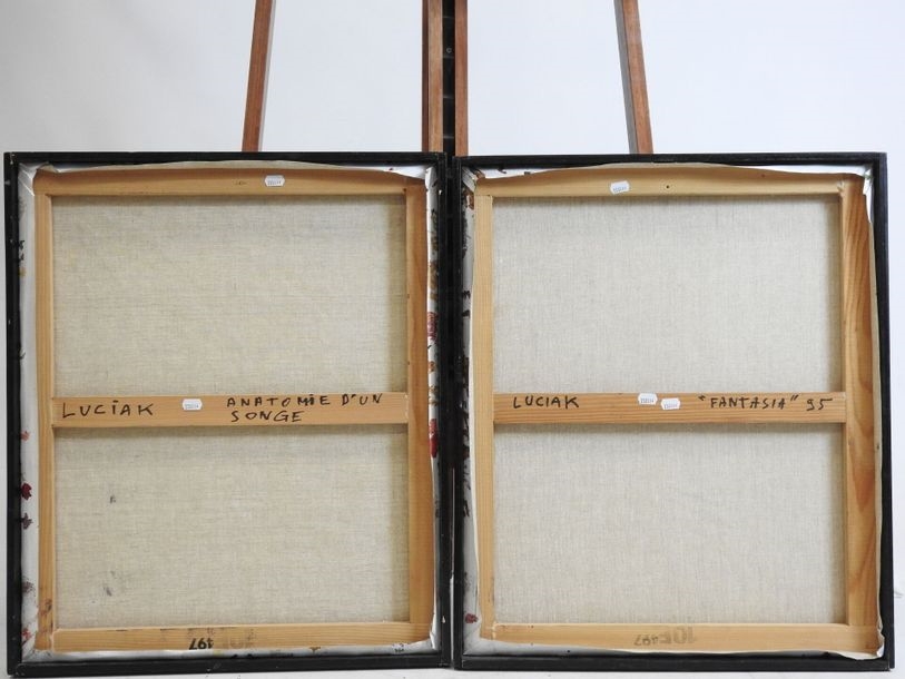 Didier Luciak | Fantasia; Anatomie d'un songe | MutualArt