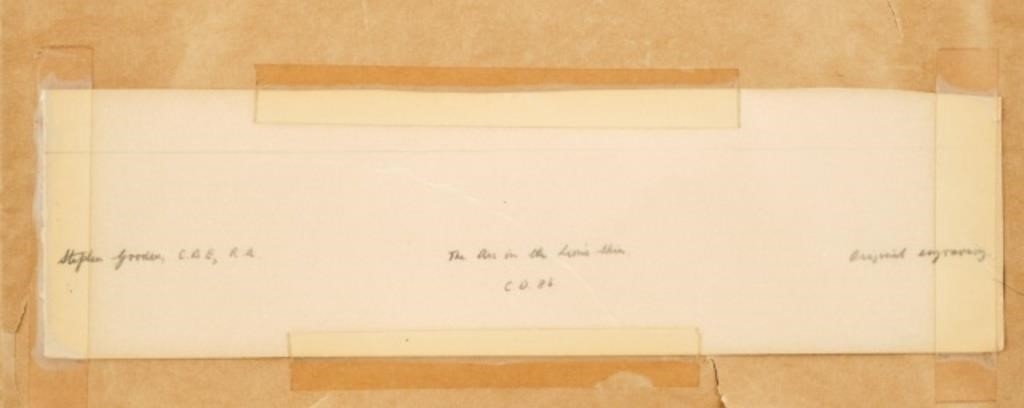 Stephen Gooden | The Ass In The Lion's Skin | MutualArt