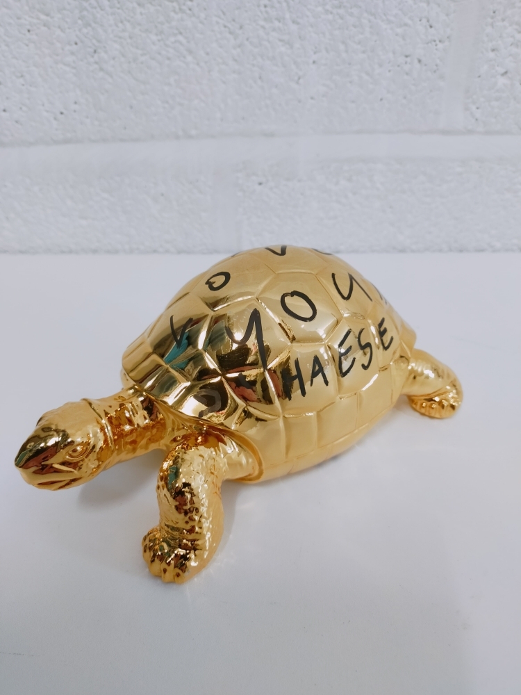 Hannes D'Haese | Turtle (2023) | MutualArt