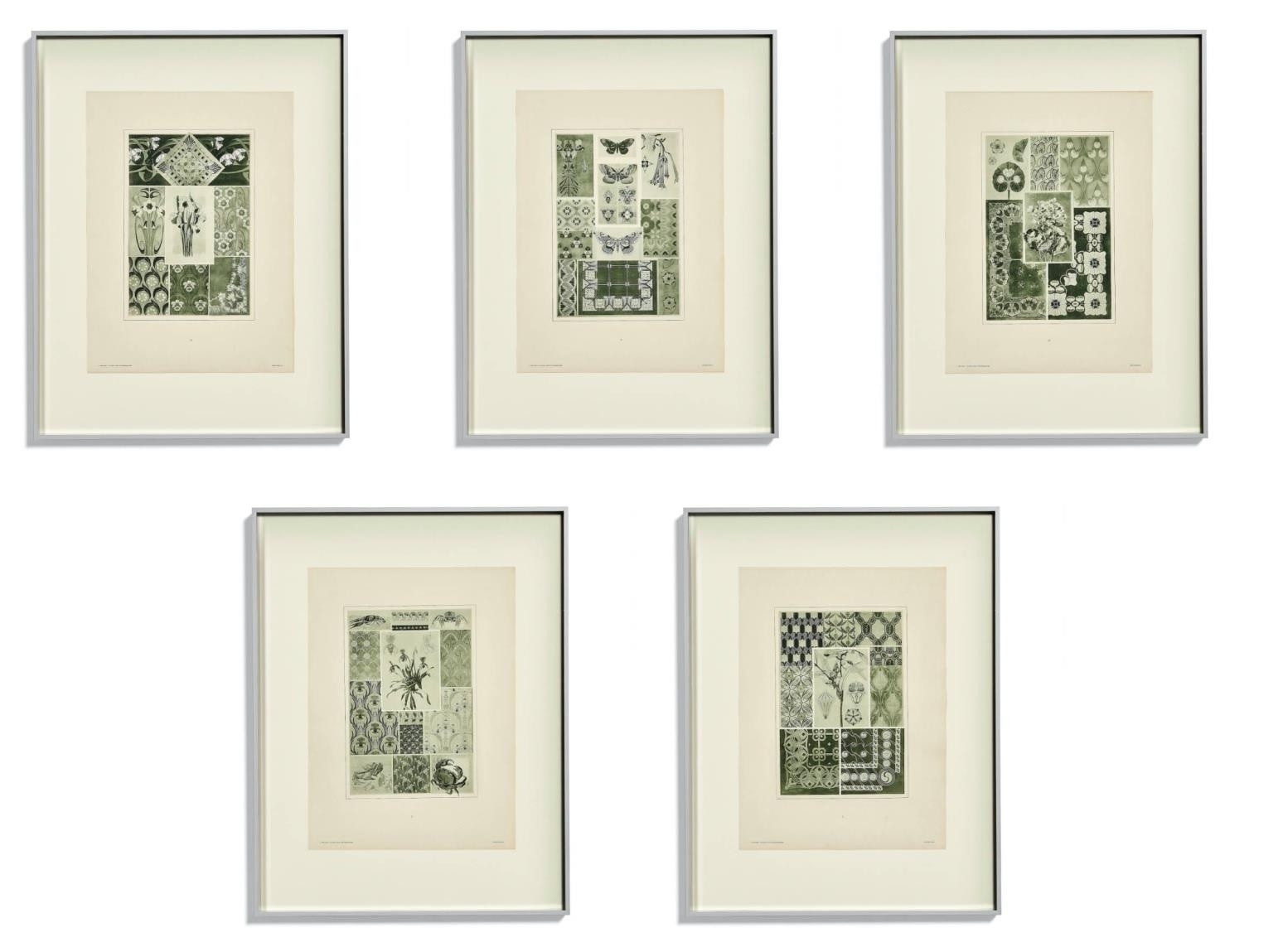 Thomas Wegner | 'Studies and Surface Patterns from the Plant and Animal ...