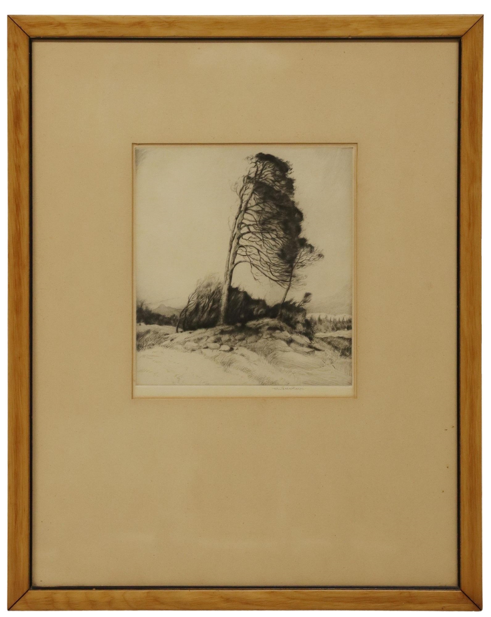 John George Mathieson | Windswept Pine Trees | MutualArt