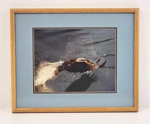 Don Gott | Biography