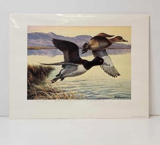 Fred Boyce | 10 Artworks at Auction | MutualArt