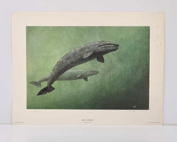 Gary Lyon | Gray Whales | MutualArt