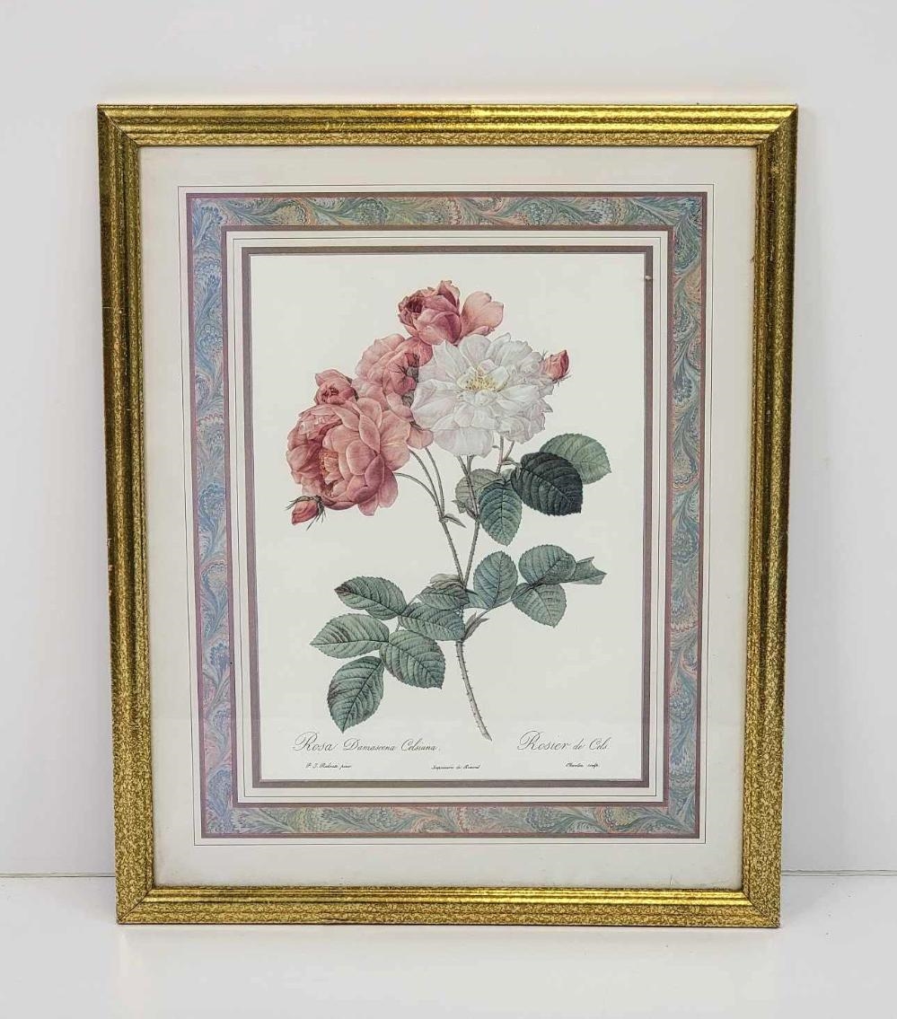 Pierre-Joseph Redoute | Rosa Damascena Celsiana | MutualArt
